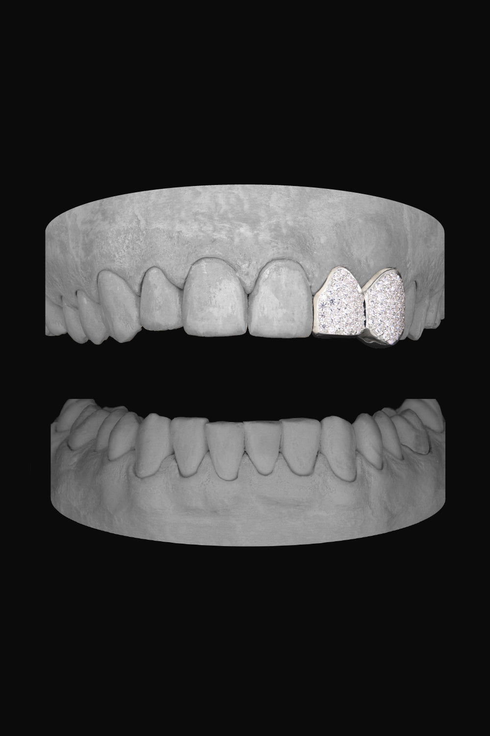 Diamond Lateral & Canine – K9GrillzUK