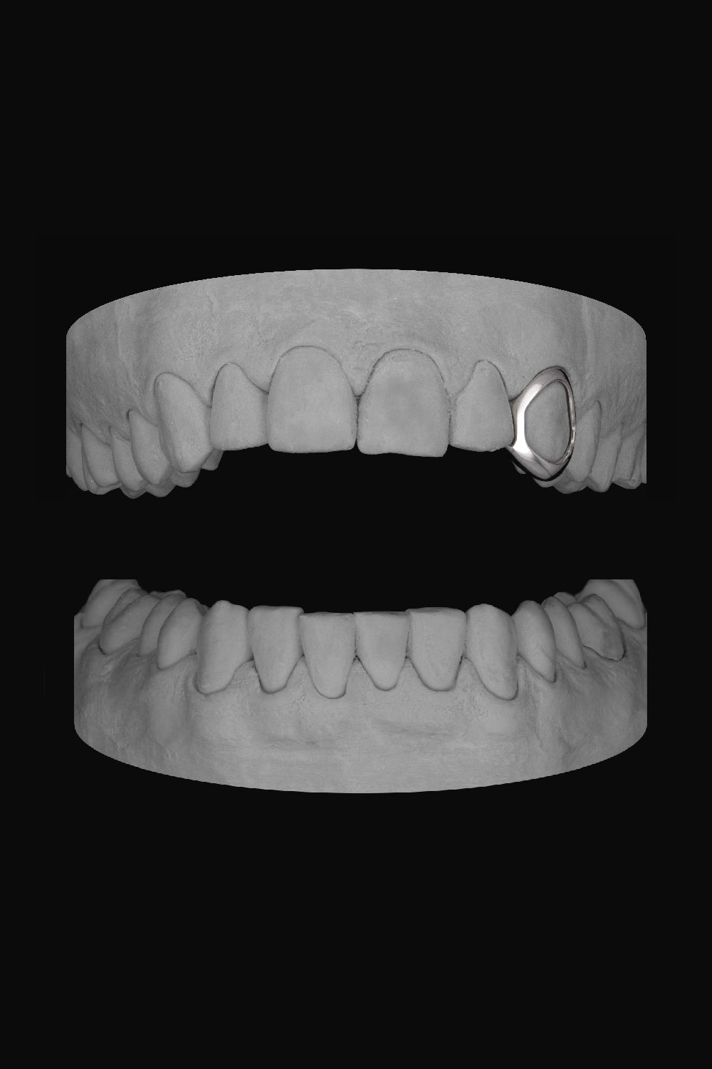 Window Canine – K9GrillzUK